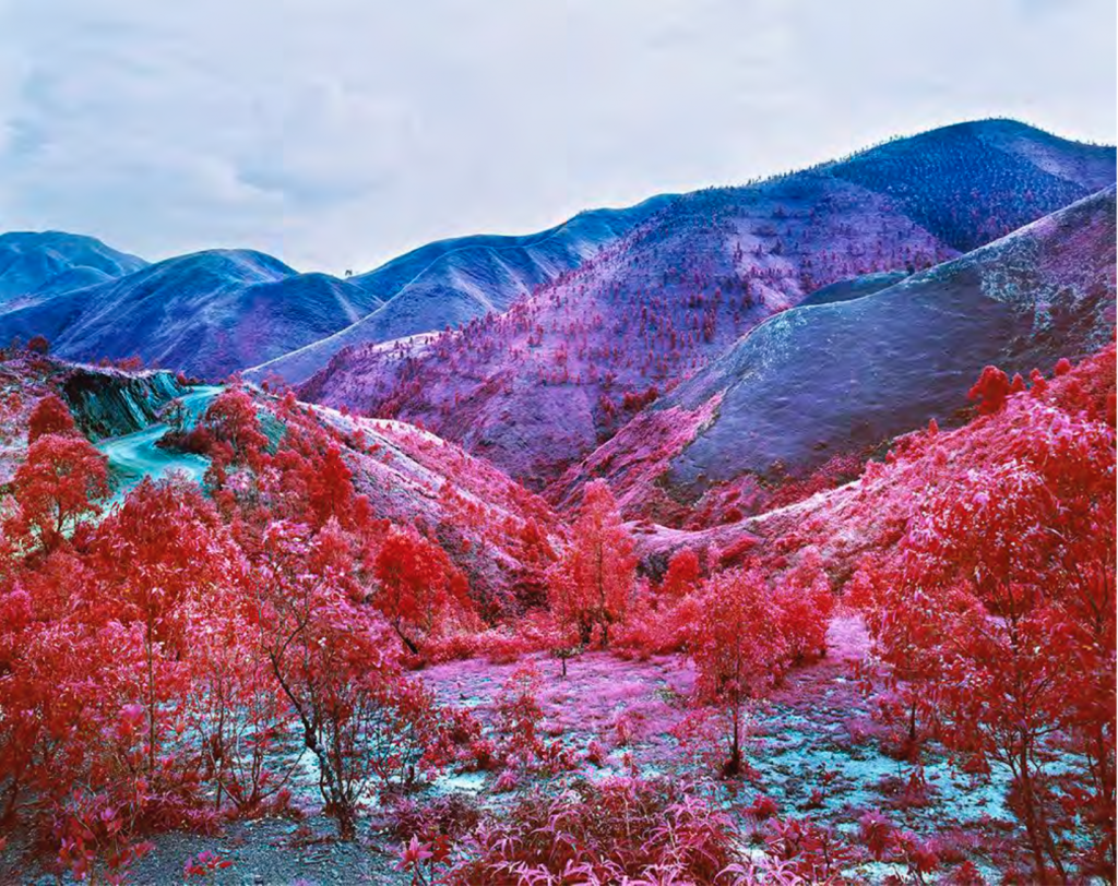 Girl From The North Country | Saks Global Art Collection